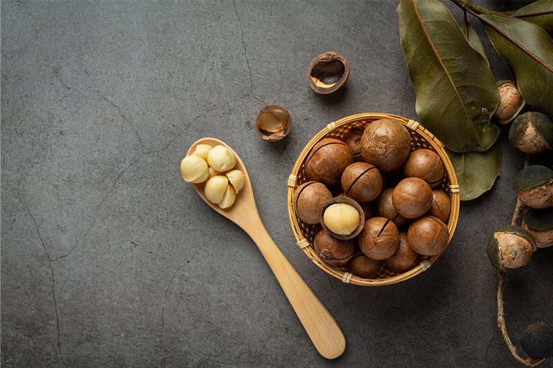 A Cityfood bemutatja a makadámdiót : CityFood